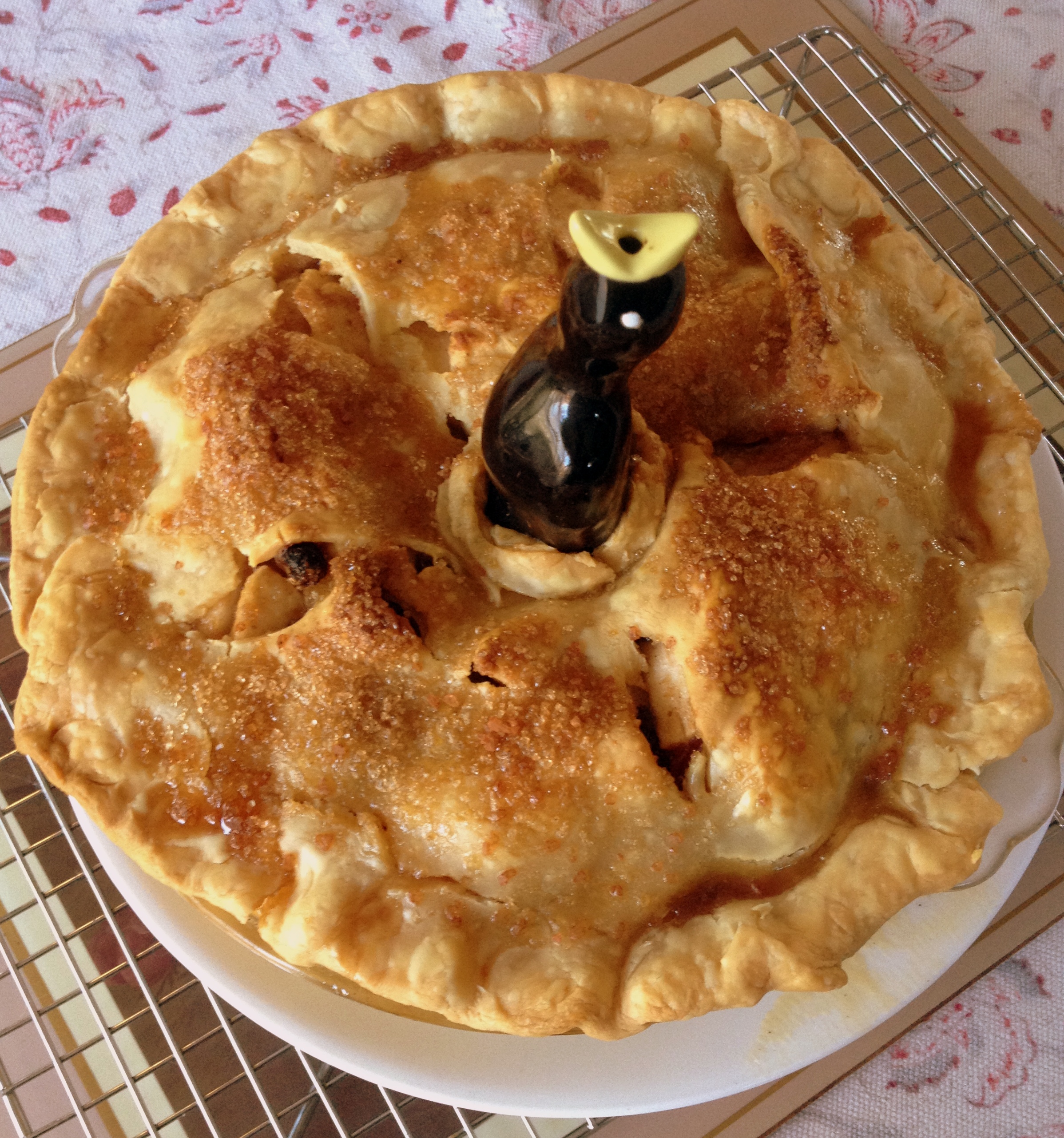 pie they said, we want pie | chestercountyramblings