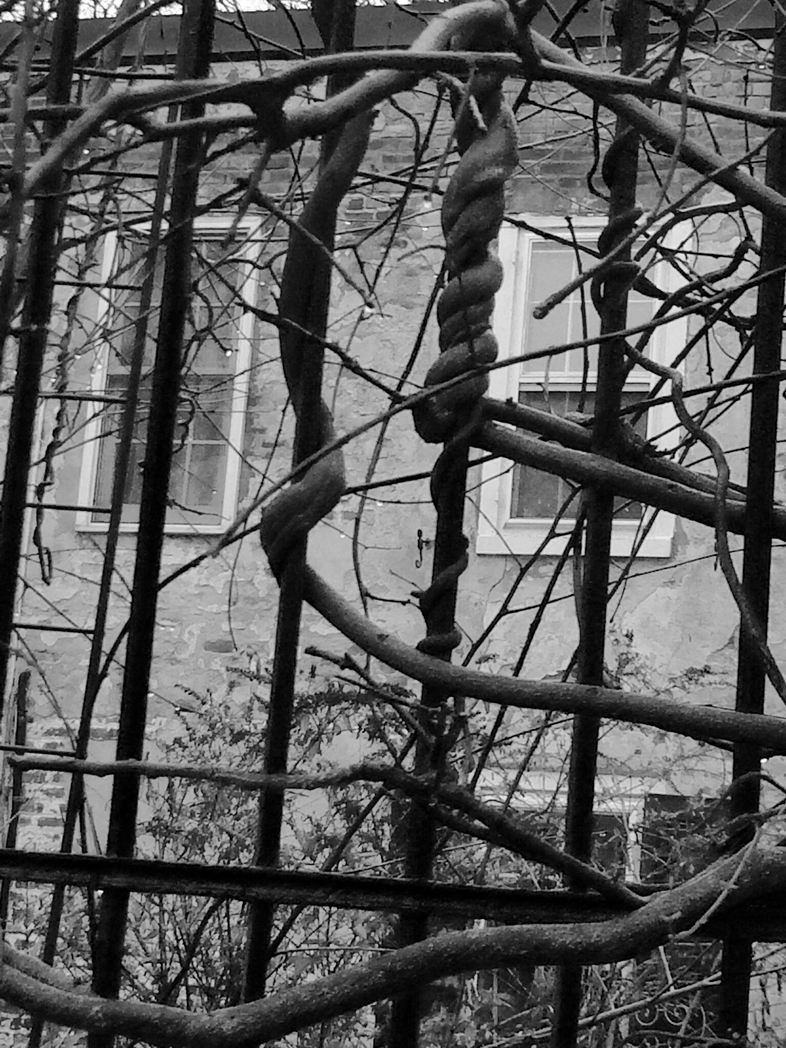 Img 0251 Chestercountyramblings