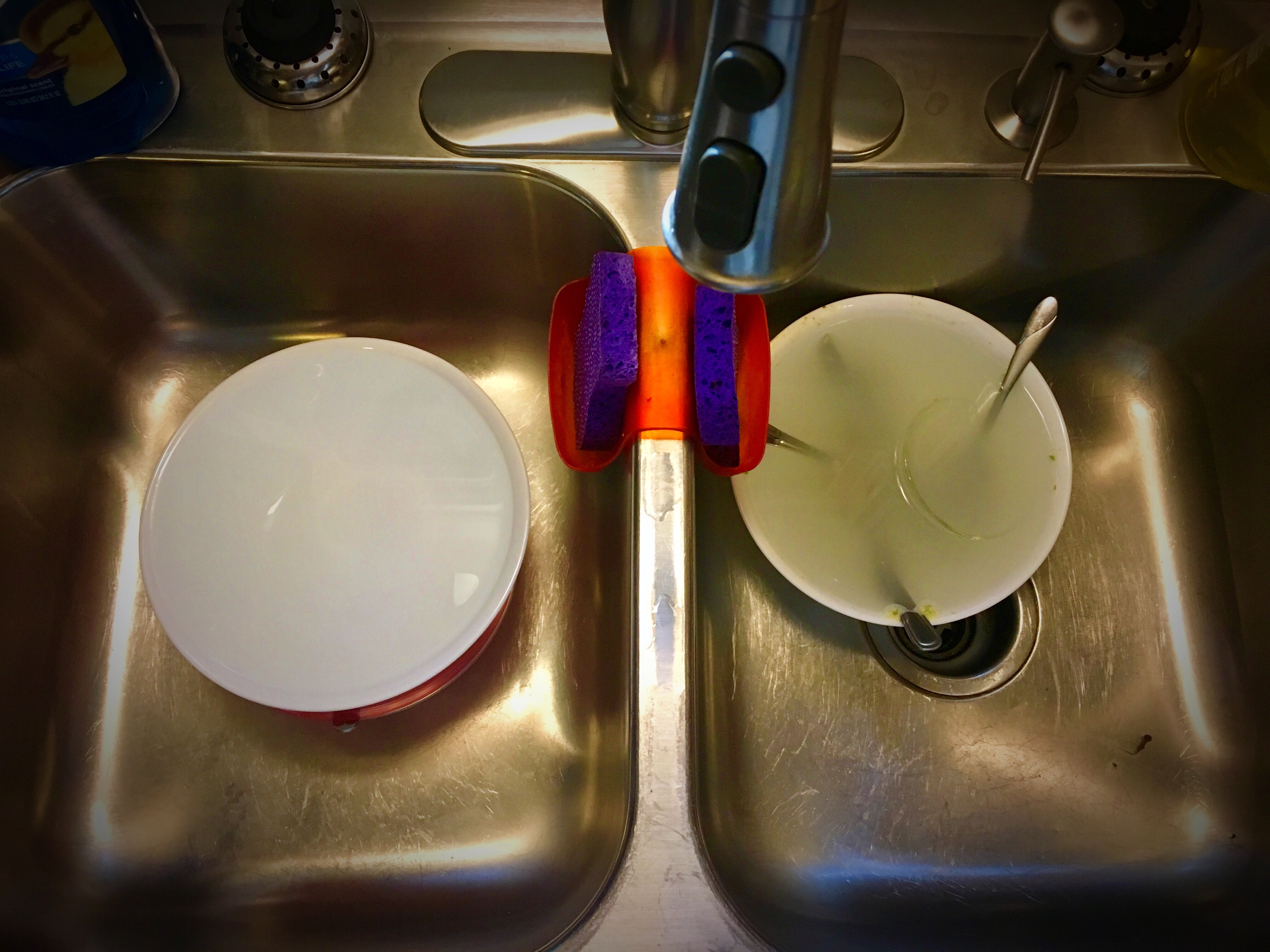 sink still life | chestercountyramblings