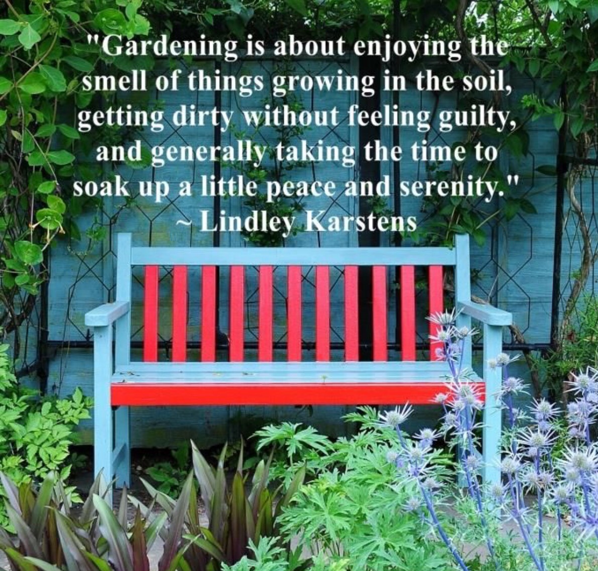 to garden, you need patience and to just try, not a crystal ball ...