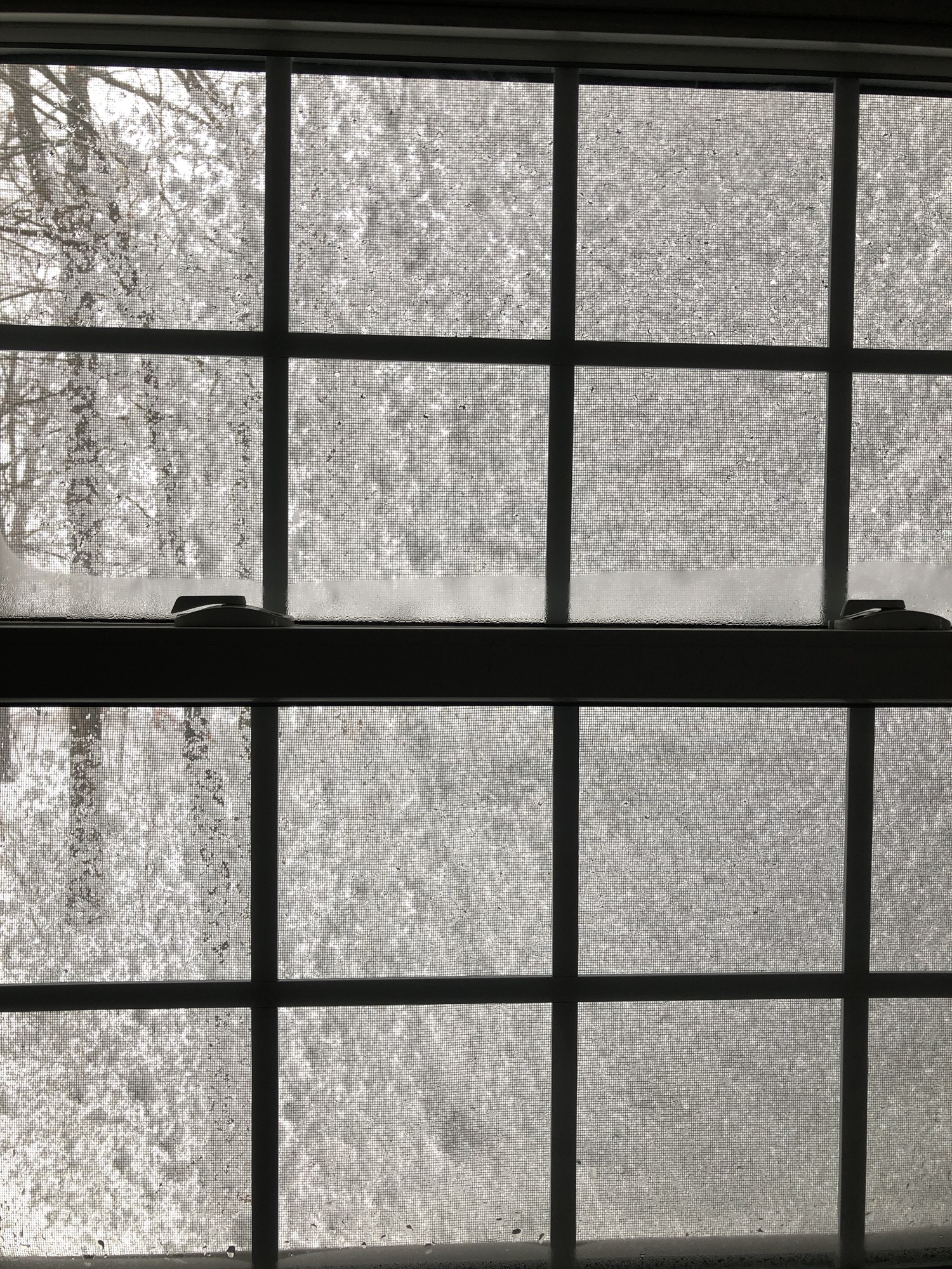 it’s not spring yet | chestercountyramblings
